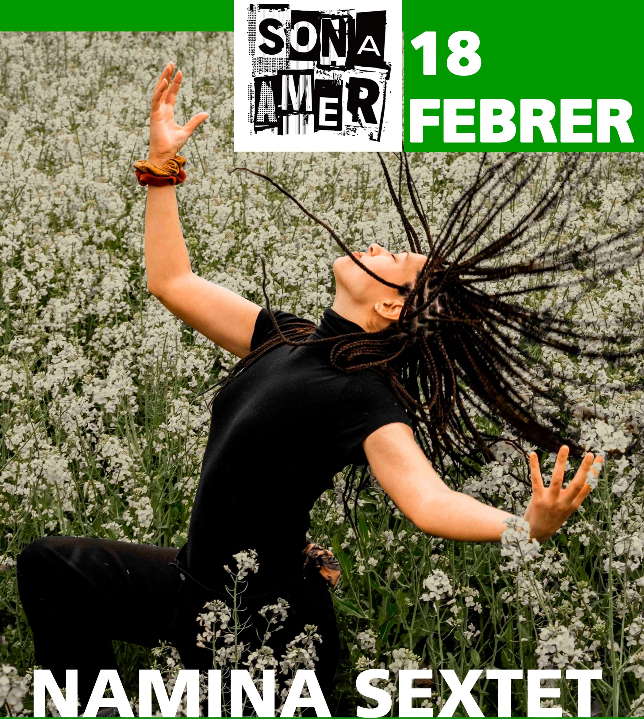 Namina Sextet al Sona Amer - Web oficial de l'Ajuntament d'Amer